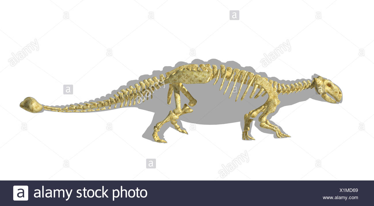 Dinosaur Scale High Resolution Stock Photography and Images - Alamy