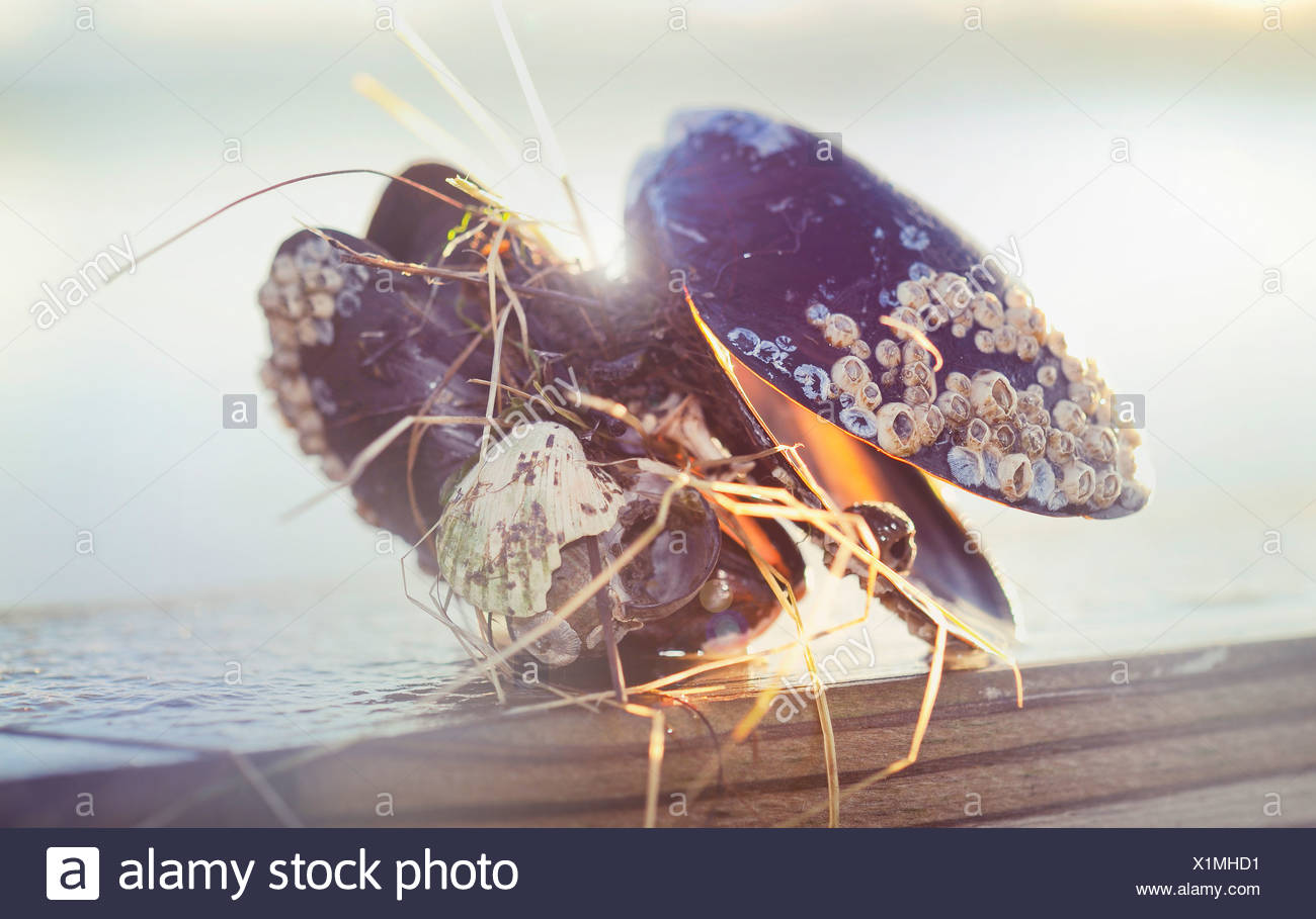 Filthy High Resolution Stock Photography and Images - Alamy