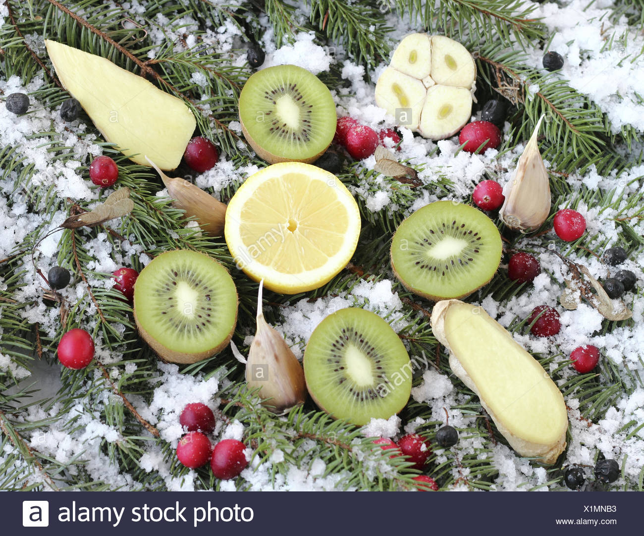 Citrus Tree Snow High Resolution Stock Photography and Images - Alamy
