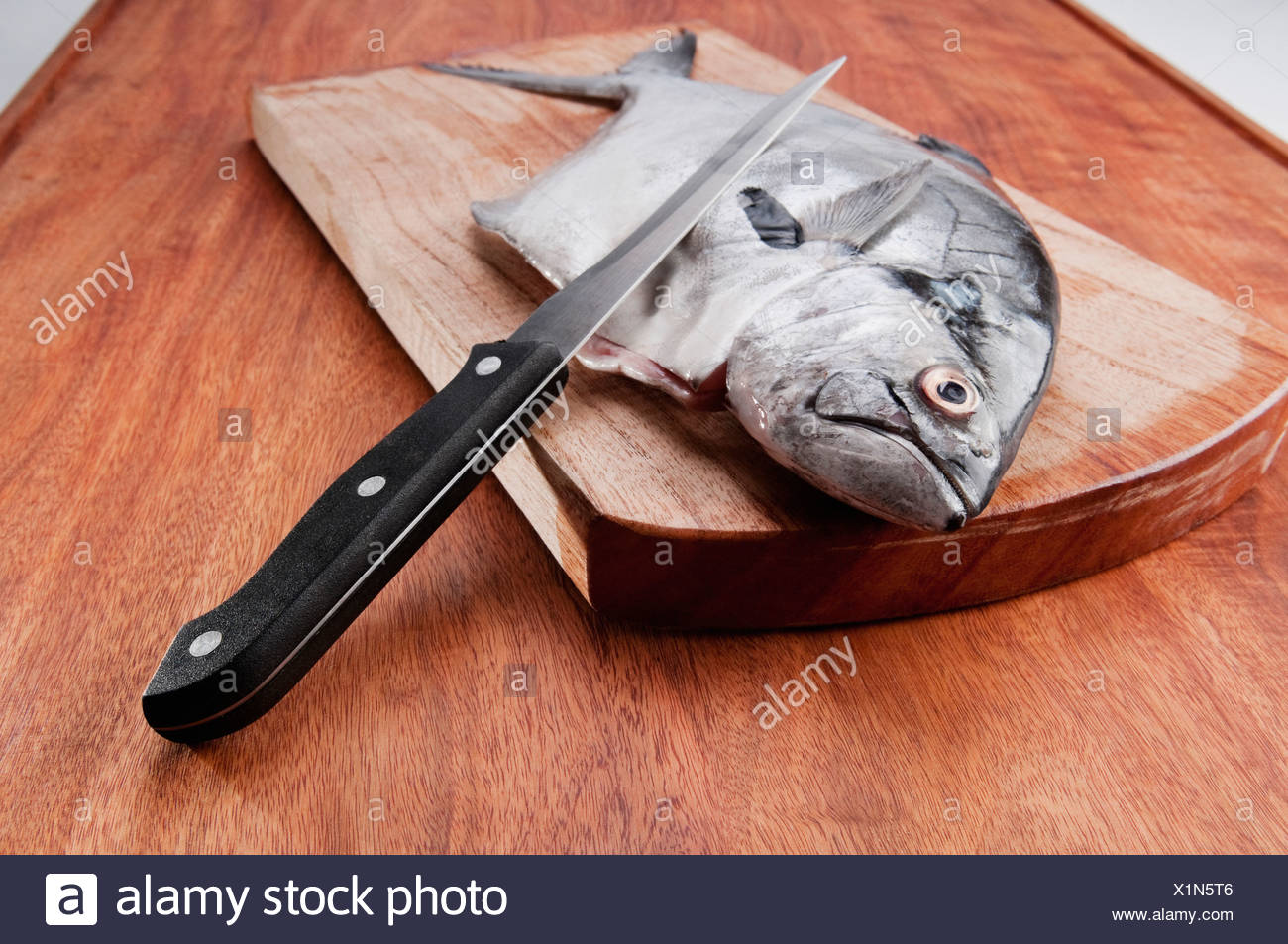 Sharp Knife Fish Cutting Stock Photos & Sharp Knife Fish Cutting Stock ...