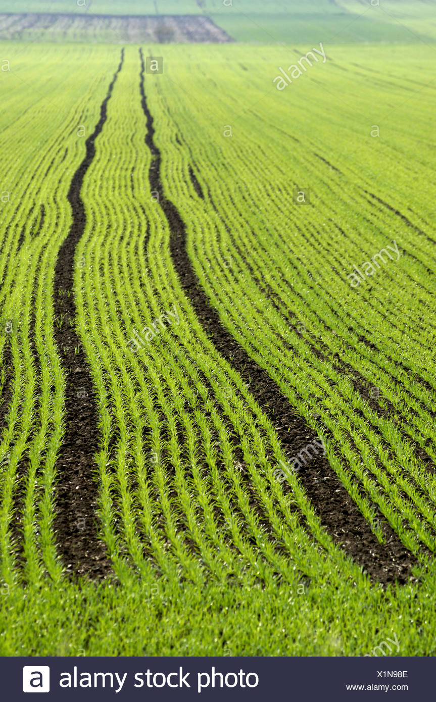 Furrows High Resolution Stock Photography and Images - Alamy