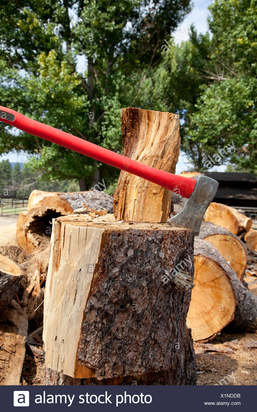 Cutting Tree With Axe High Resolution Stock Photography and Images - Alamy