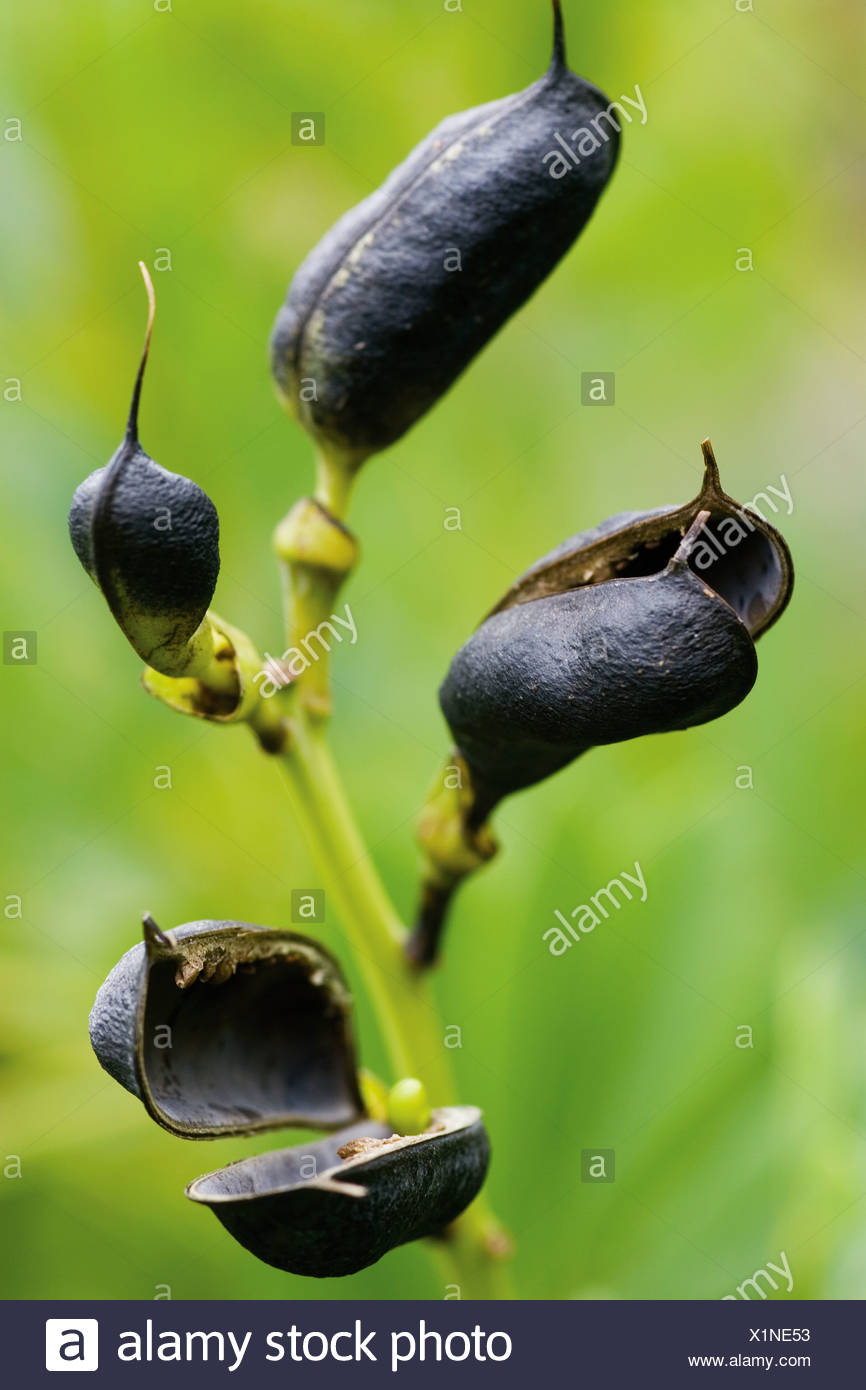 Side Pods High Resolution Stock Photography and Images - Alamy