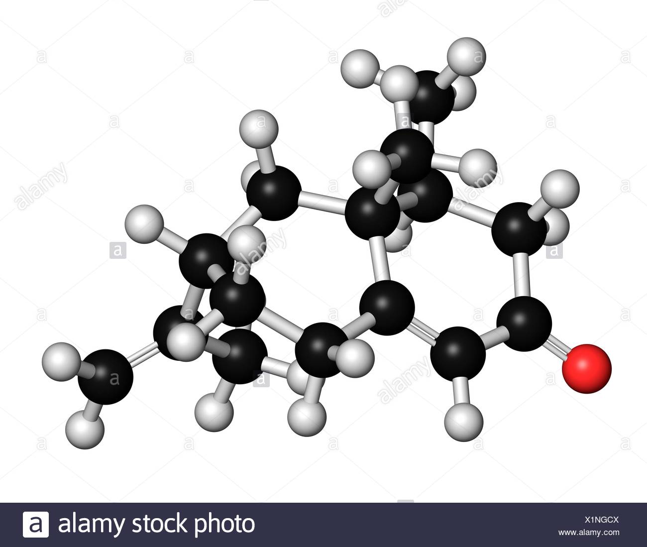 Nootkatone Insect Repellent High Resolution Stock Photography and ...