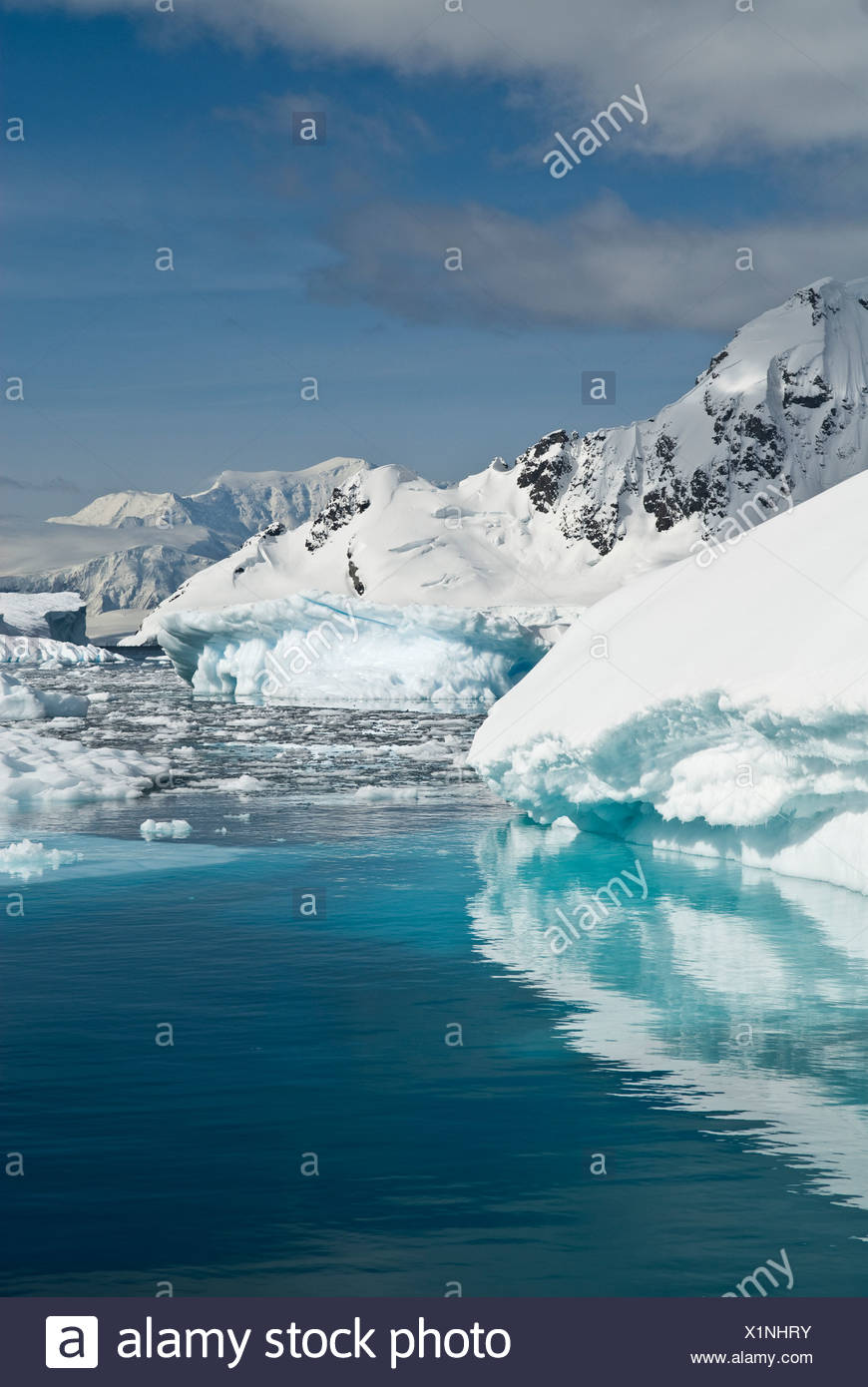 Pack Ice Stock Photos & Pack Ice Stock Images - Alamy