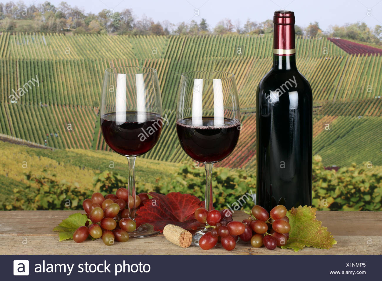 Rotwein Herbst High Resolution Stock Photography and Images - Alamy
