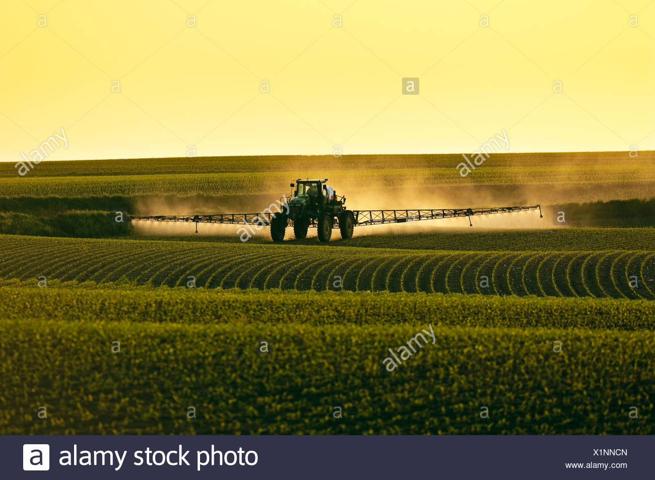 Iowa Corn Fields High Resolution Stock Photography and Images - Alamy