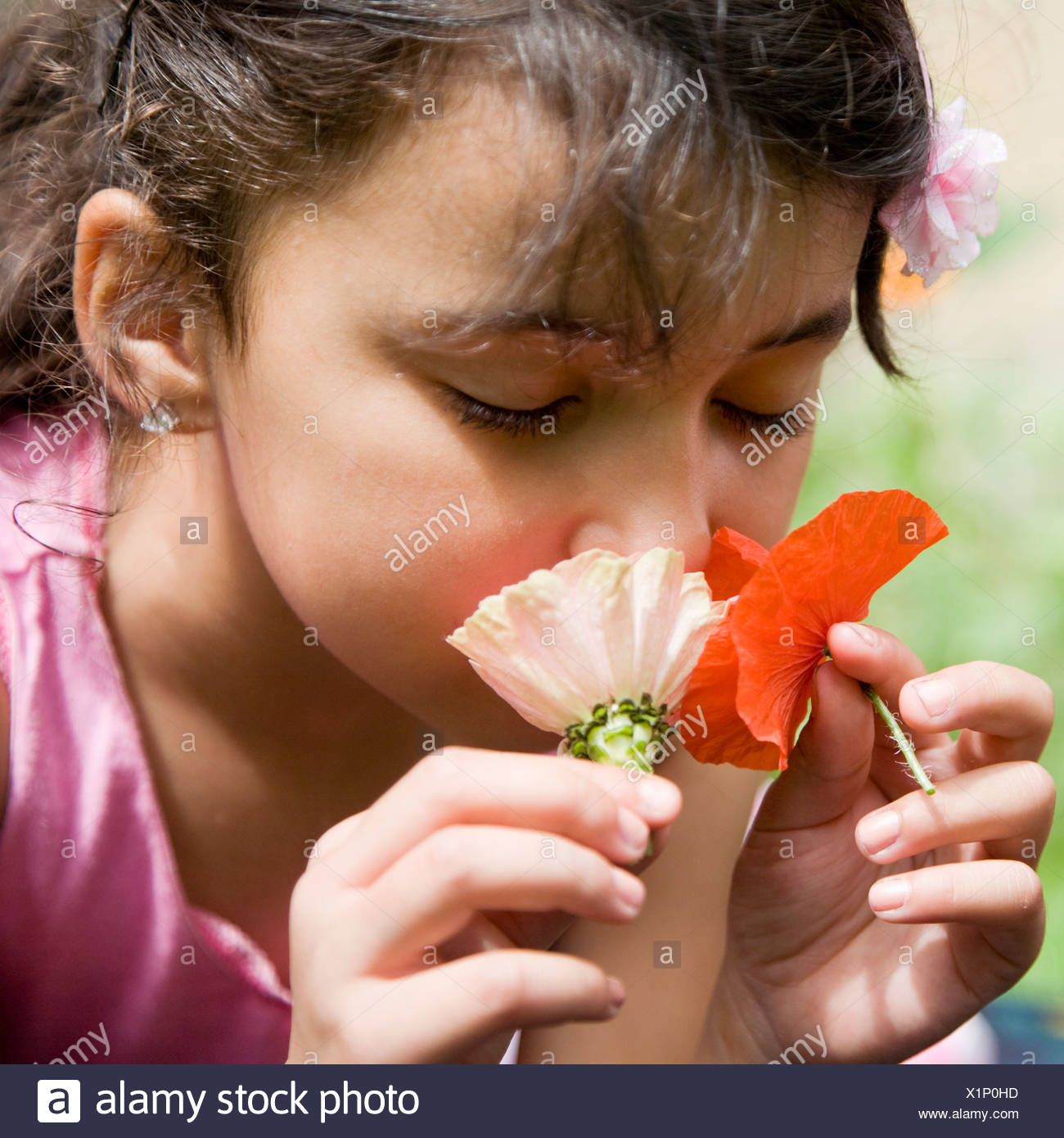 Dainty Flowers Stock Photos & Dainty Flowers Stock Images - Alamy