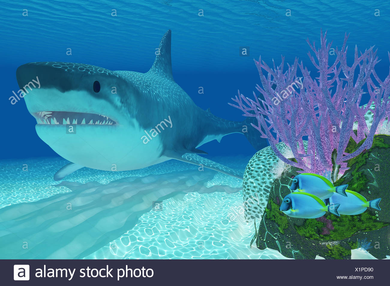 Prehistoric Species High Resolution Stock Photography and Images - Alamy