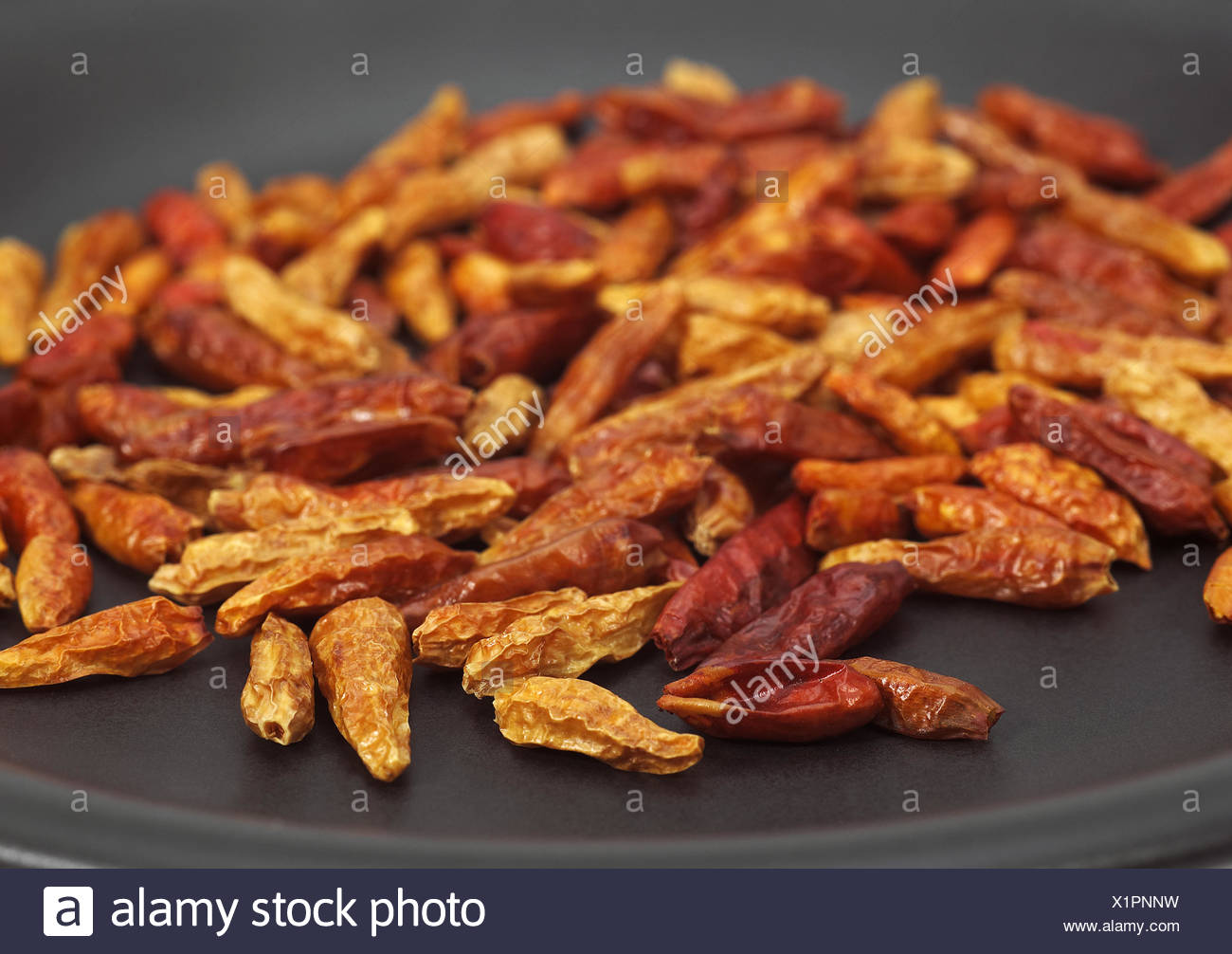 Bird Pepper High Resolution Stock Photography and Images - Alamy