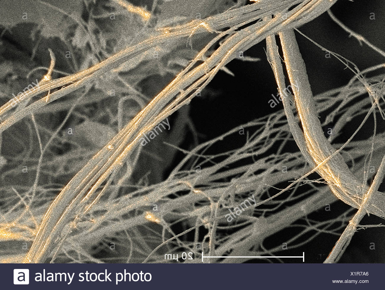 Asbestos Fibre High Resolution Stock Photography and Images - Alamy