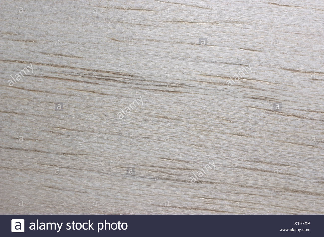 Balsa Wood Tree High Resolution Stock Photography and Images - Alamy