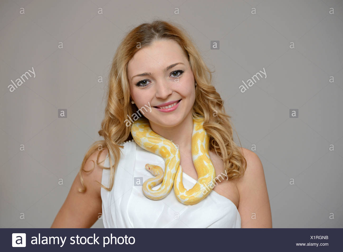 Handsome Snake High Resolution Stock Photography and Images - Alamy