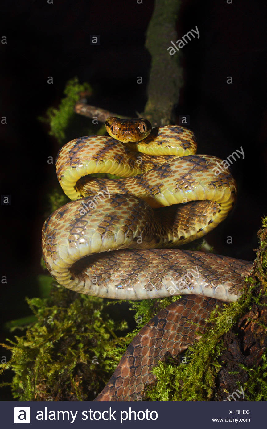 Verticle Image High Resolution Stock Photography and Images - Alamy