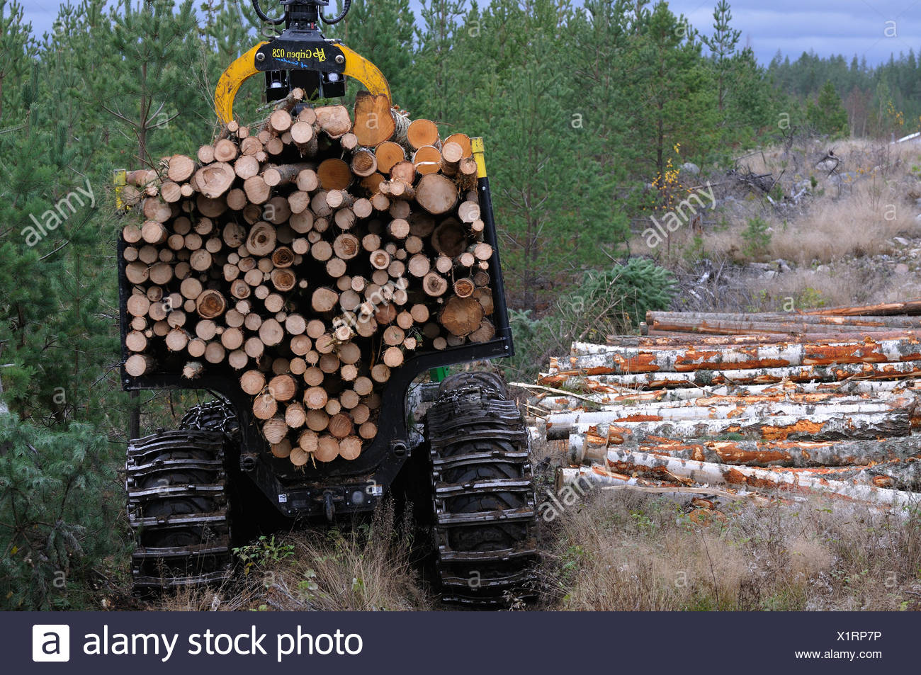Loading Timber High Resolution Stock Photography and Images - Alamy
