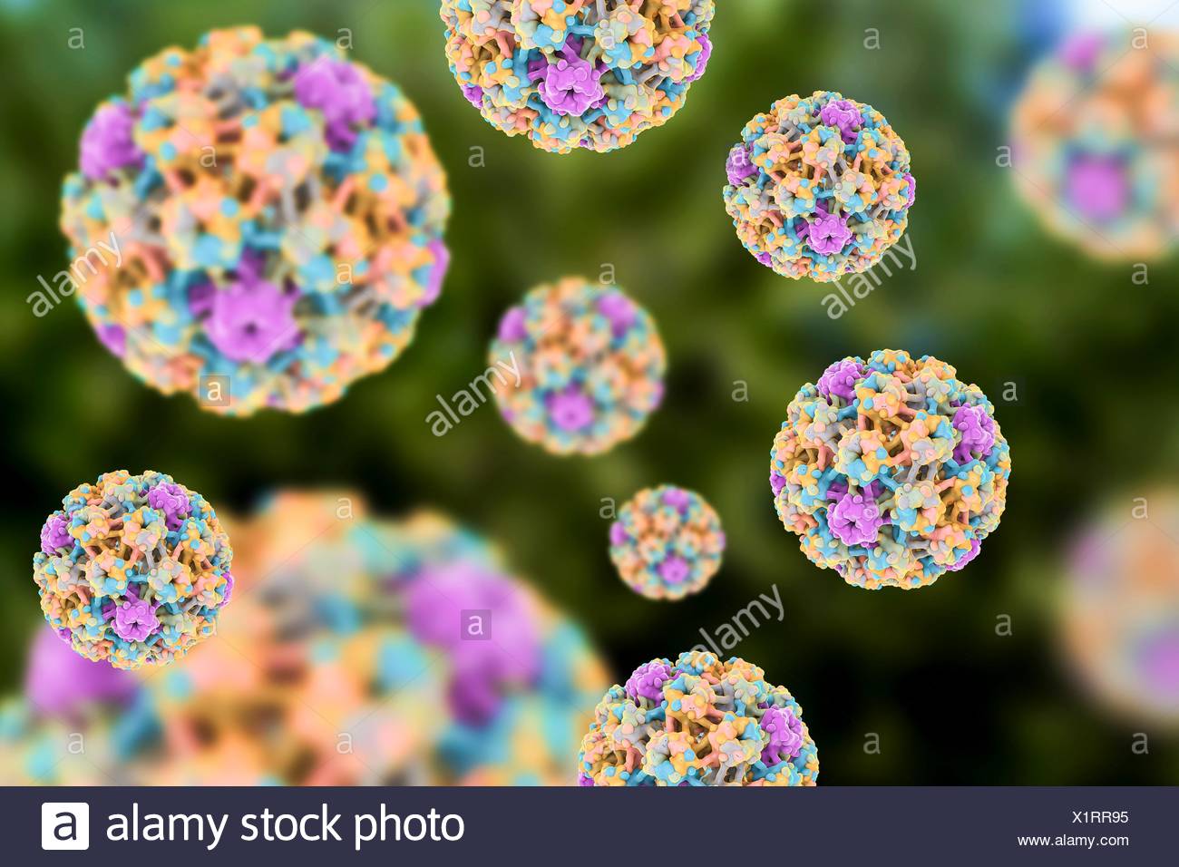 Human Papilloma Virus High Resolution Stock Photography and Images - Alamy