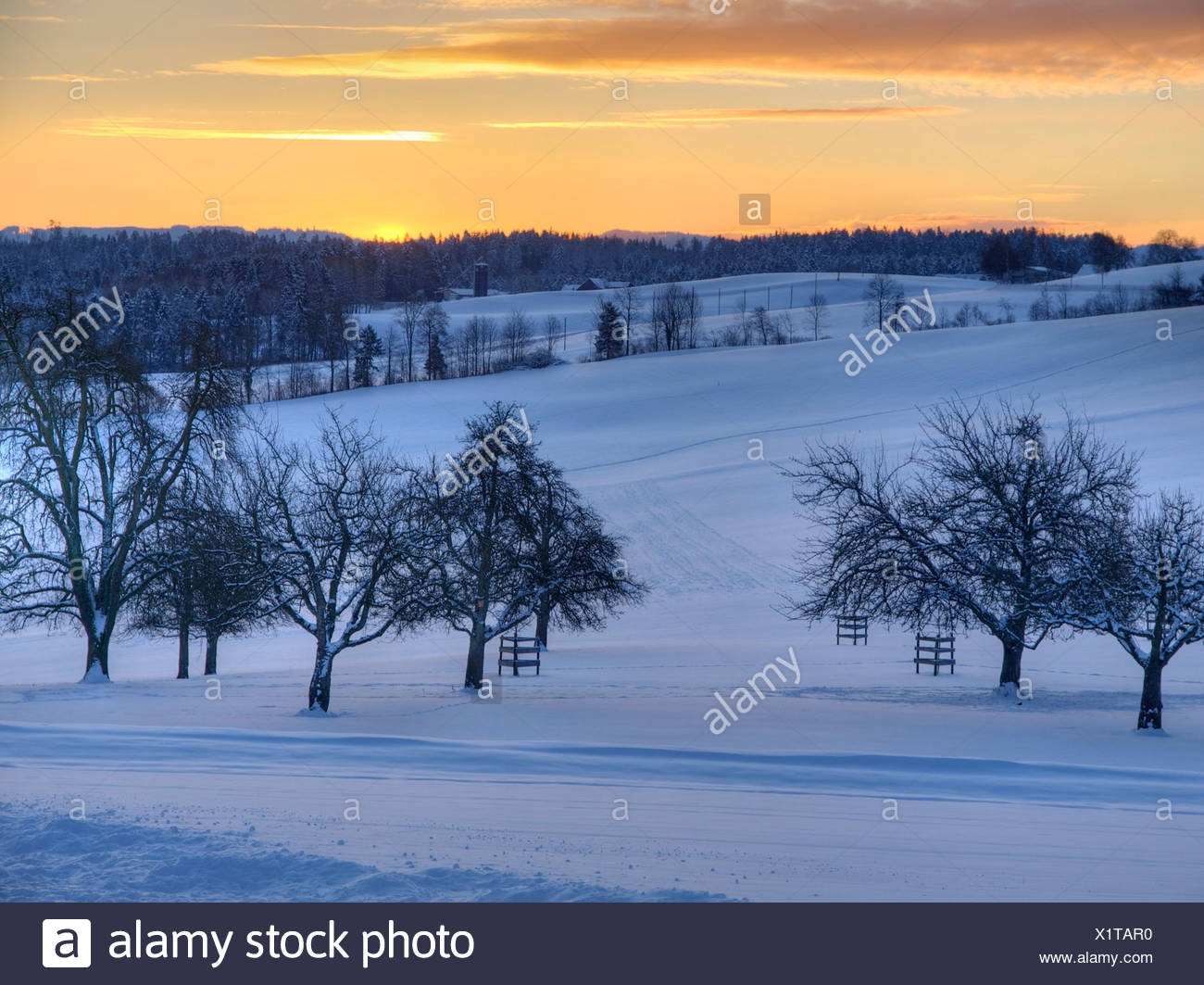 Switzerland Zurich Snow High Resolution Stock Photography and Images ...