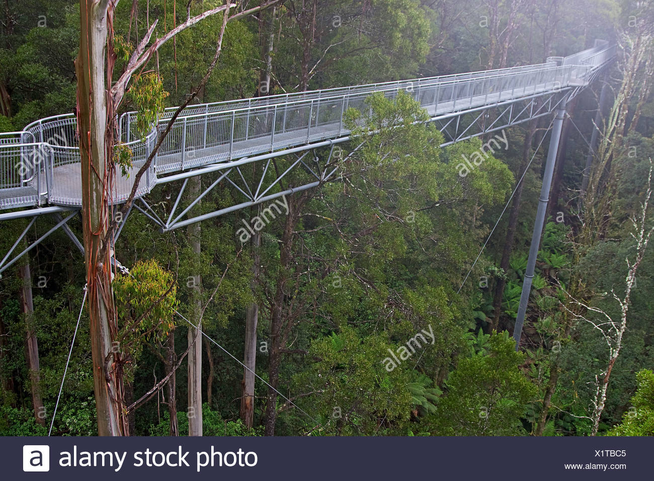 5 Railstotrails And Elevated Urban Walkways Around The World