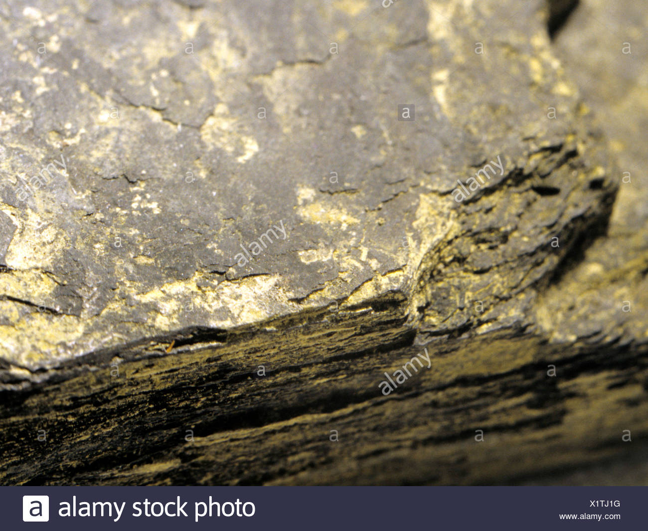 Black Shale Stock Photos & Black Shale Stock Images - Alamy