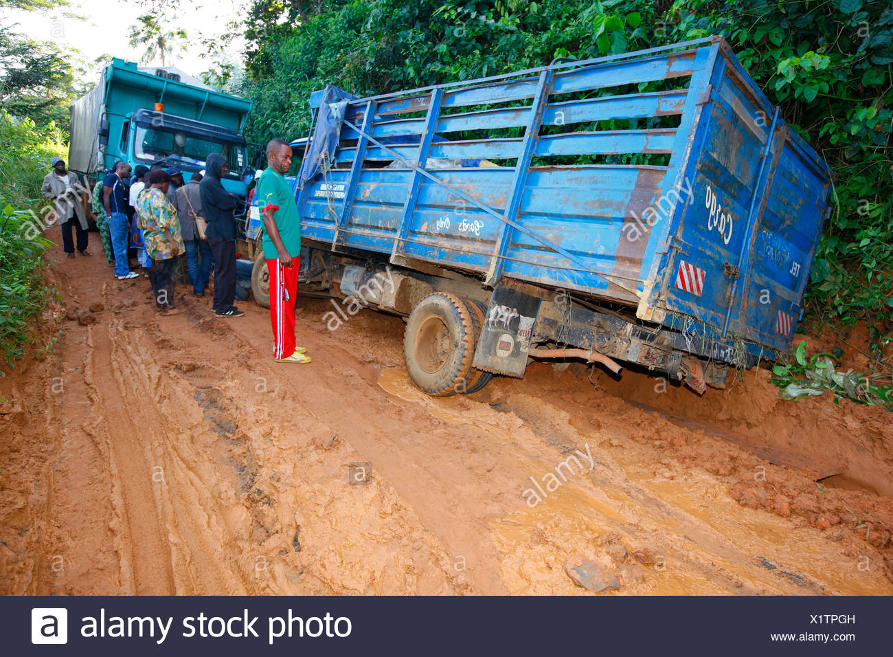 Jungle E High Resolution Stock Photography and Images - Alamy