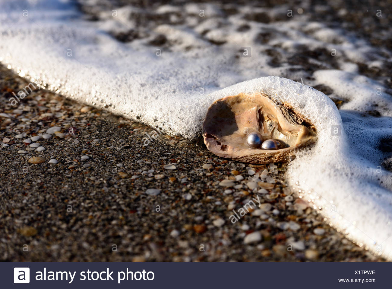 Australian Pearls High Resolution Stock Photography and Images - Alamy