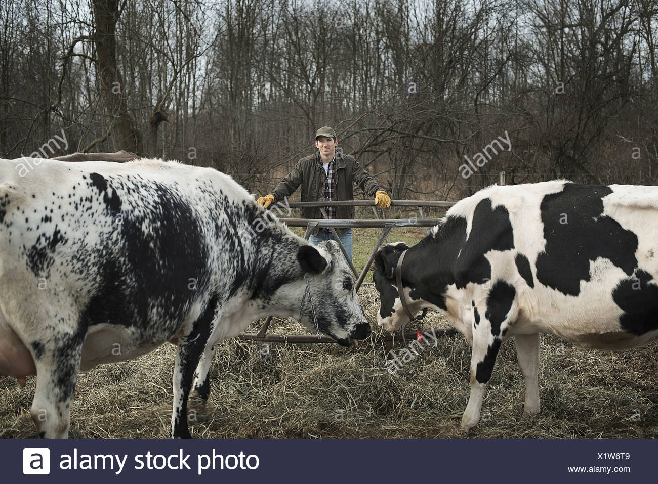 Even Working High Resolution Stock Photography and Images - Alamy