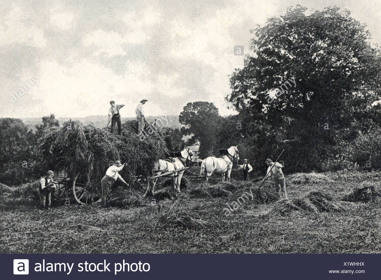 Haymaking High Resolution Stock Photography and Images - Alamy