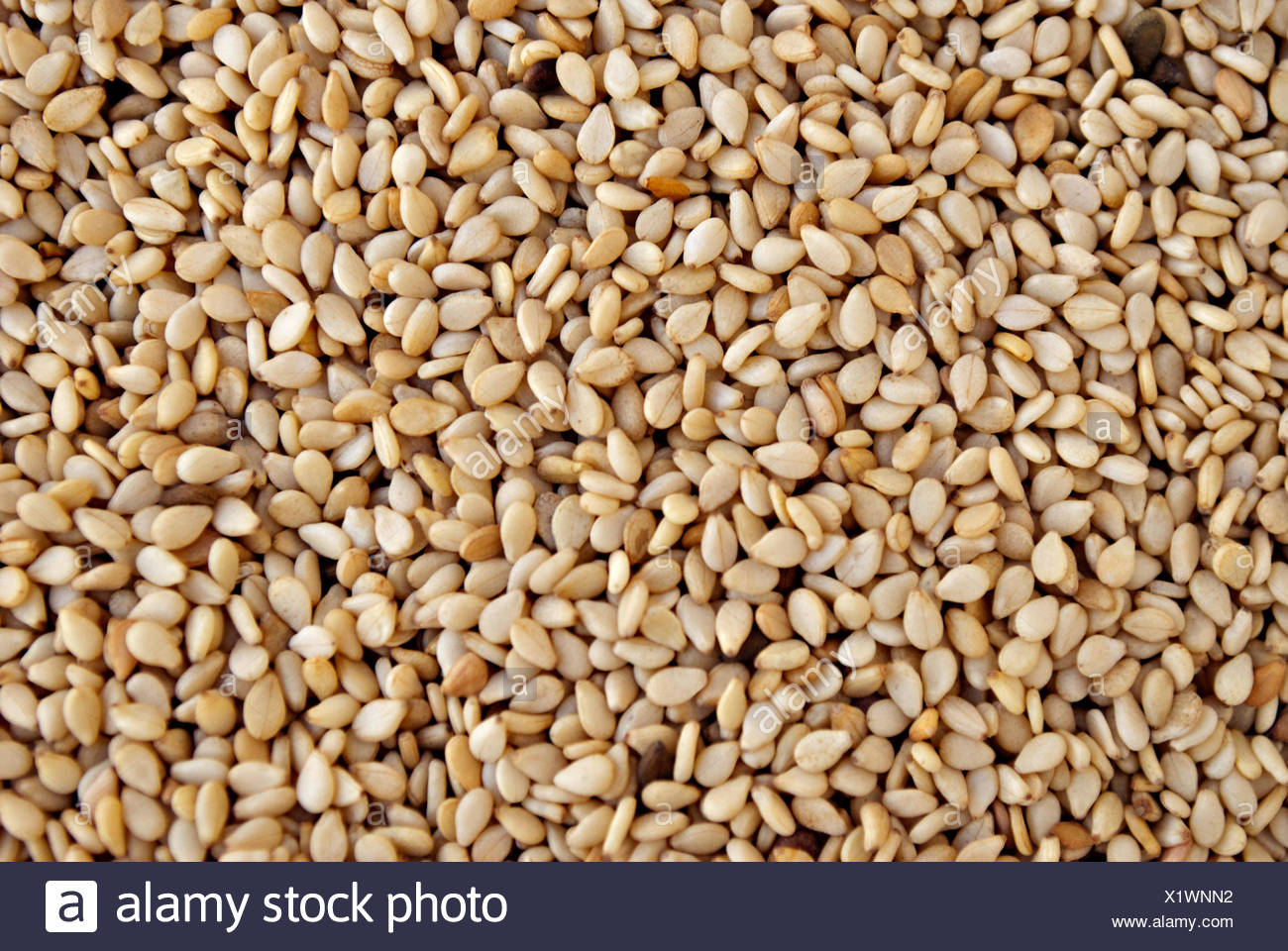 Simsim High Resolution Stock Photography and Images - Alamy