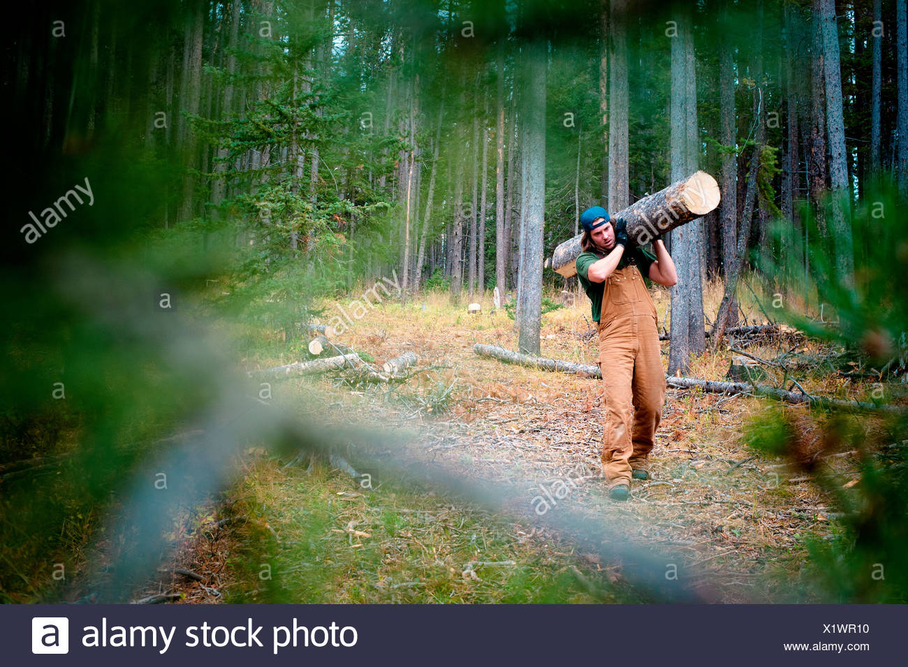 Man Carrying Log On Shoulders High Resolution Stock Photography and ...