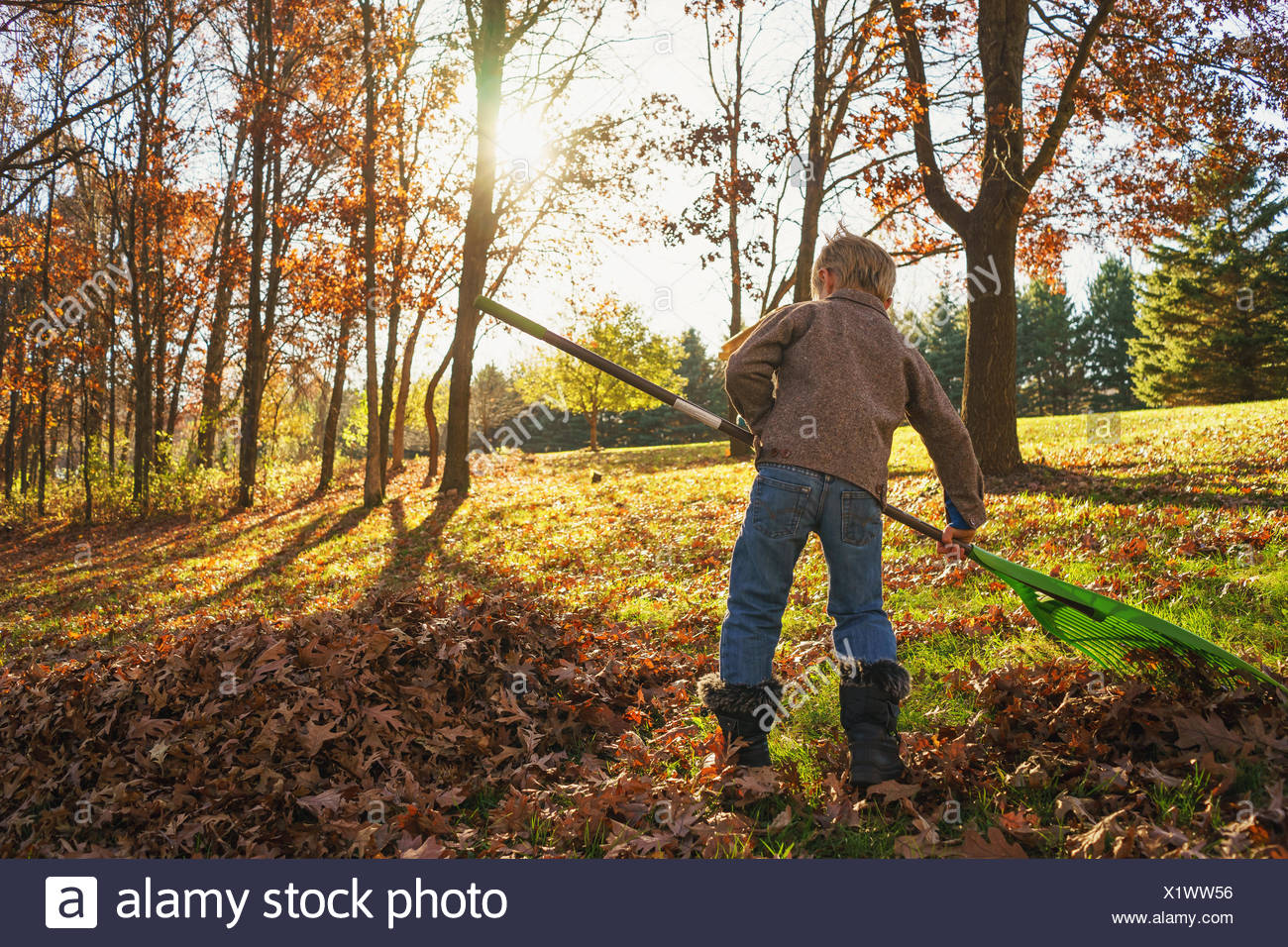 Child Raking Leaves High Resolution Stock Photography and Images - Alamy