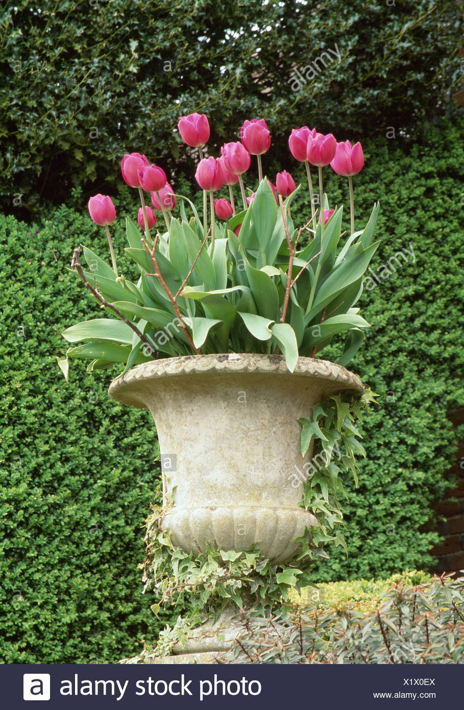 Stone Urns Stock Photos & Stone Urns Stock Images - Alamy