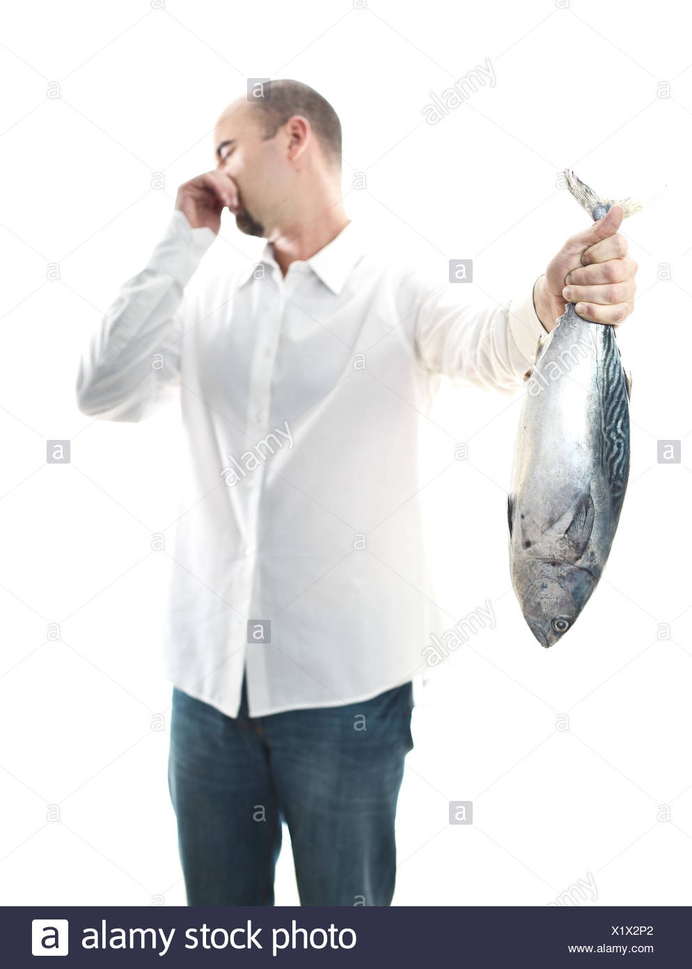 Smelly Fish High Resolution Stock Photography and Images - Alamy
