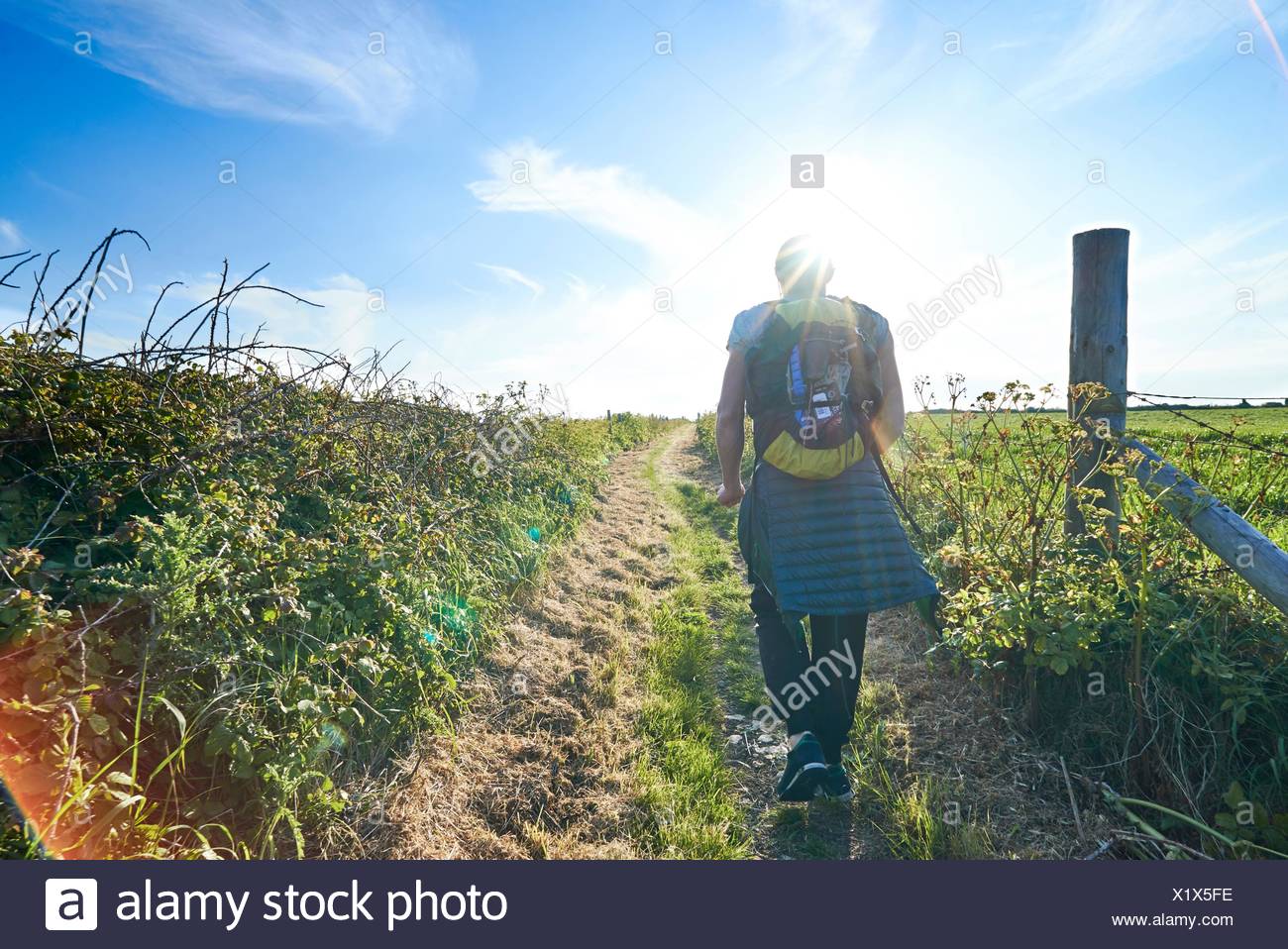 Back Path High Resolution Stock Photography and Images - Alamy