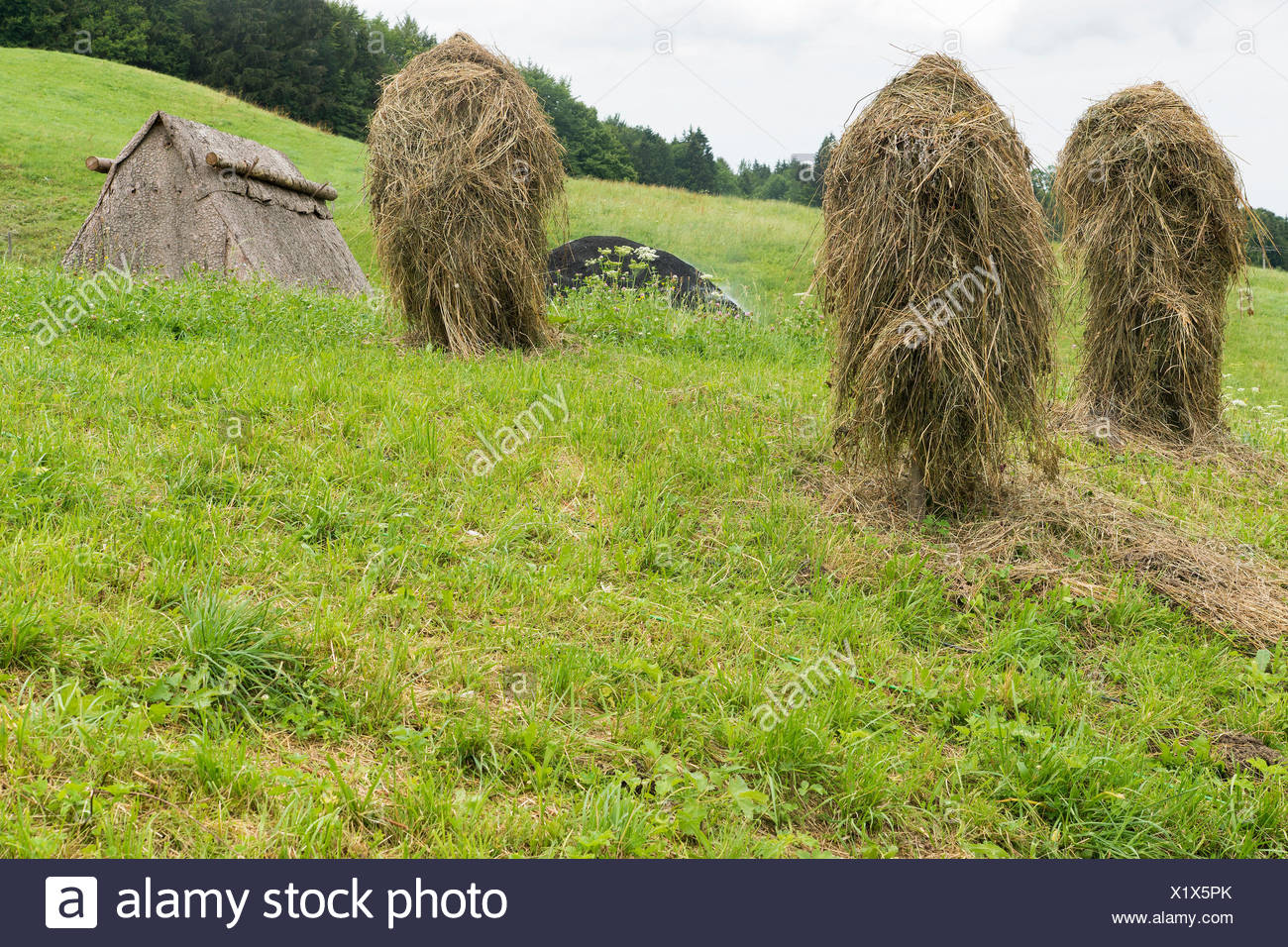 Char Hut High Resolution Stock Photography and Images - Alamy
