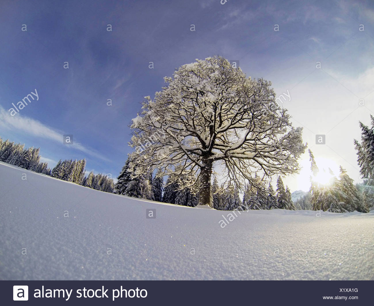 Sorenberg Switzerland High Resolution Stock Photography and Images - Alamy