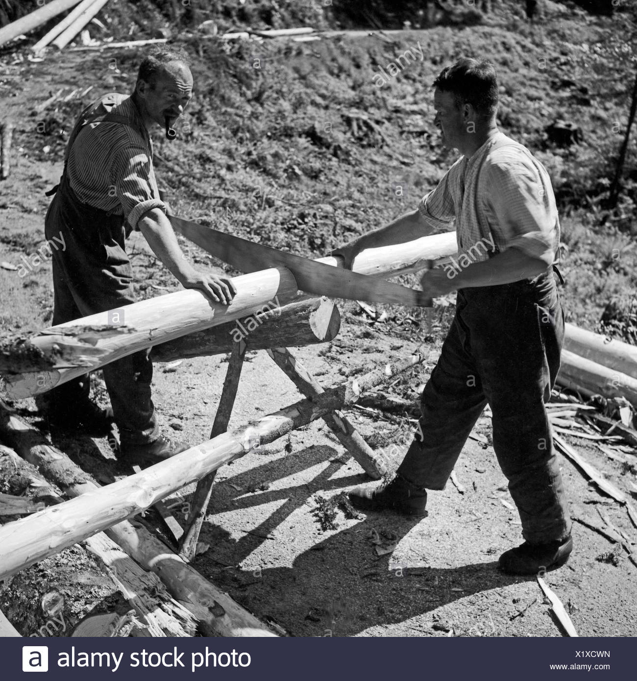 Waldarbeiter Stock Photos & Waldarbeiter Stock Images - Alamy