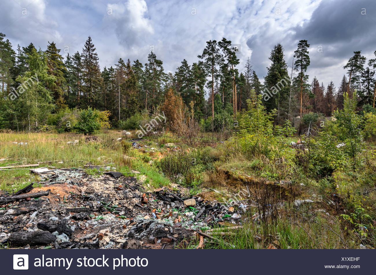 Garbage Dump In Forest High Resolution Stock Photography and Images - Alamy
