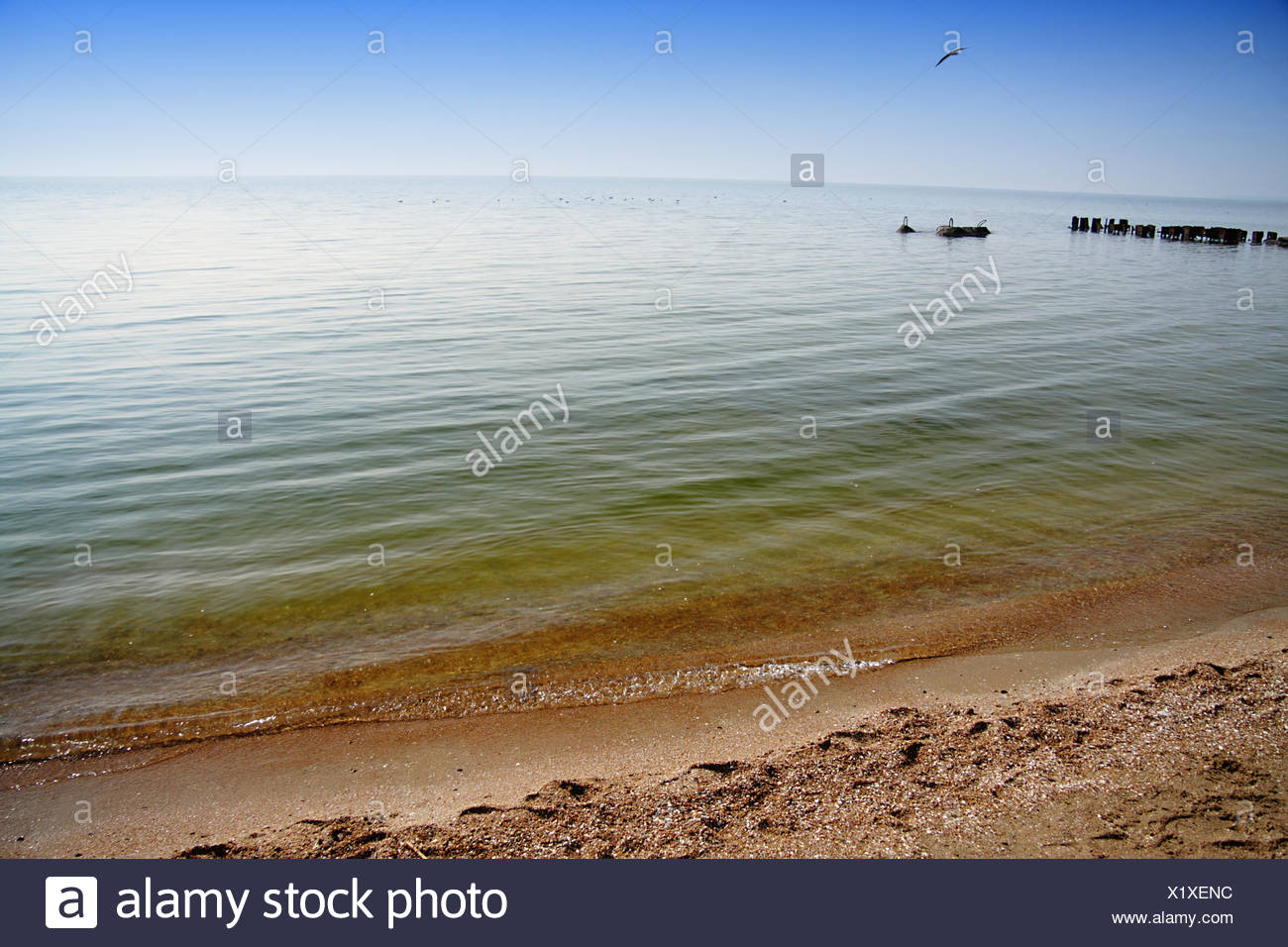 Azov Sea High Resolution Stock Photography and Images - Alamy