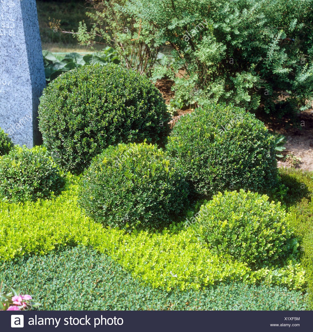 Common Boxes High Resolution Stock Photography and Images - Alamy