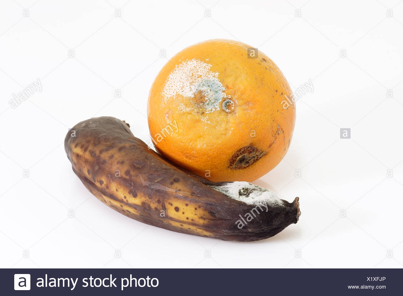 Banana Decomposition High Resolution Stock Photography and Images - Alamy