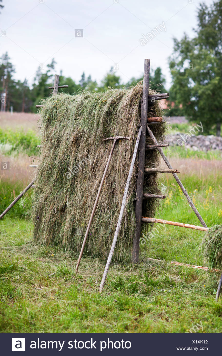 Hay Drying Rack High Resolution Stock Photography and Images - Alamy
