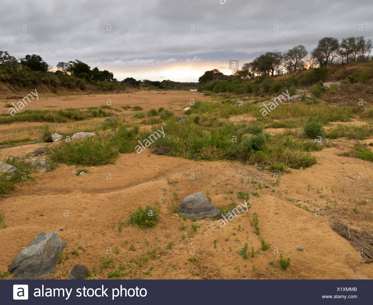Dried River Stream Bed High Resolution Stock Photography and Images - Alamy