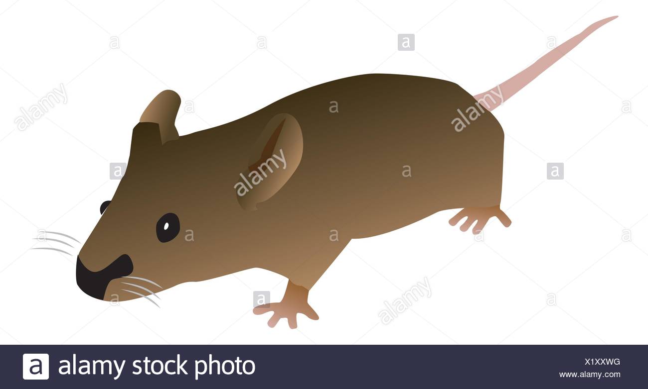 Illustrated Cartoon High Resolution Stock Photography and Images - Alamy