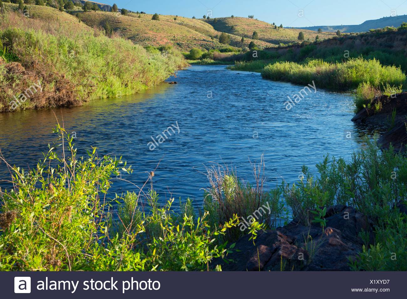 Three Forks River High Resolution Stock Photography and Images - Alamy