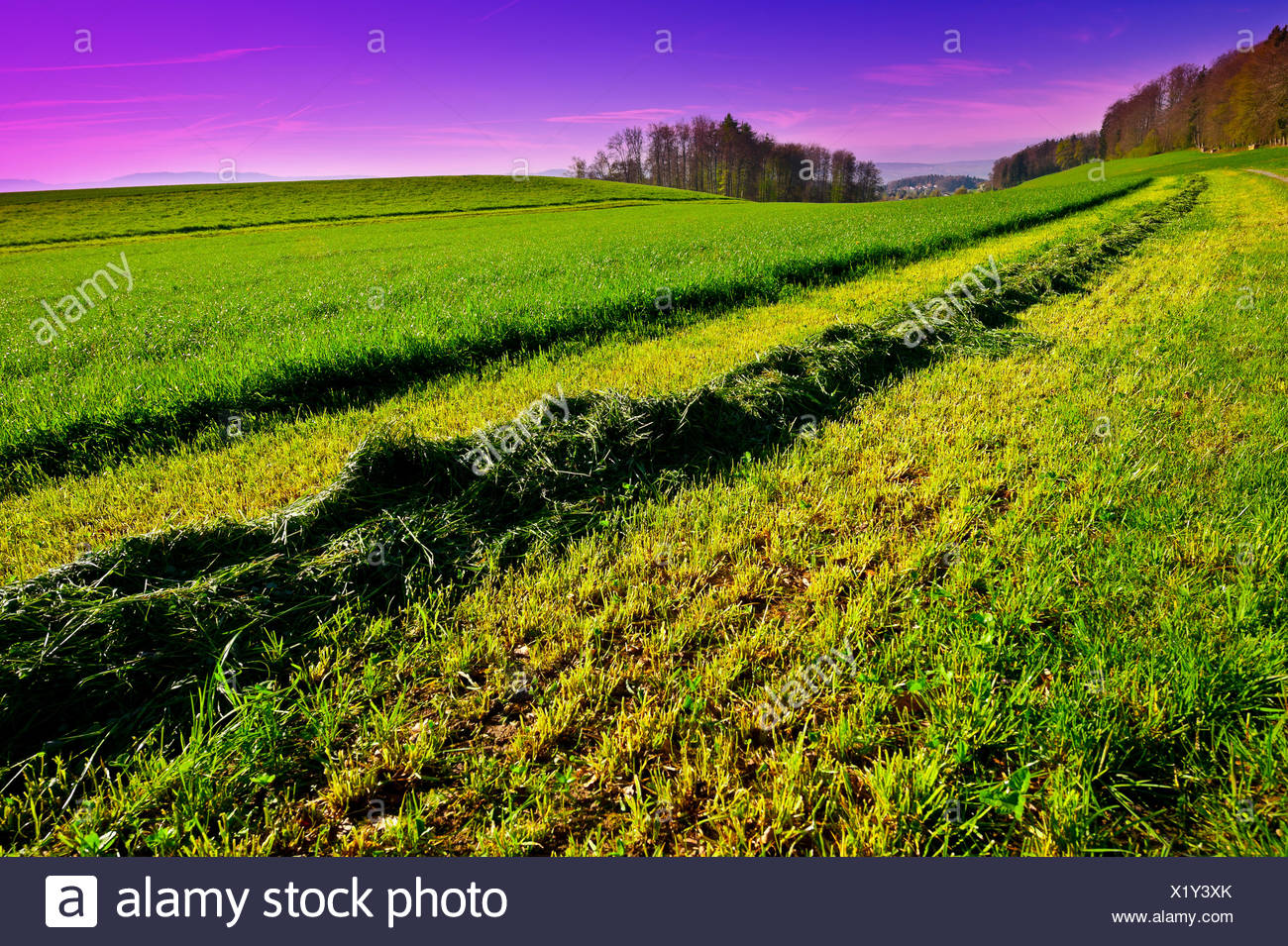 New Mown Hay Stock Photos & New Mown Hay Stock Images - Alamy