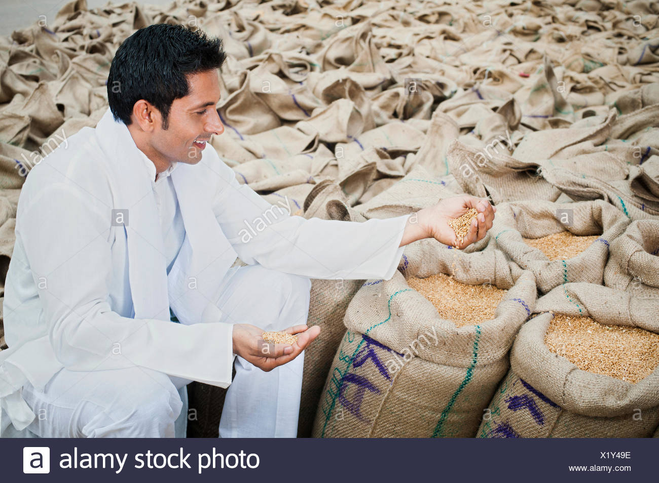 Sohna Anaj Mandi High Resolution Stock Photography and Images - Alamy