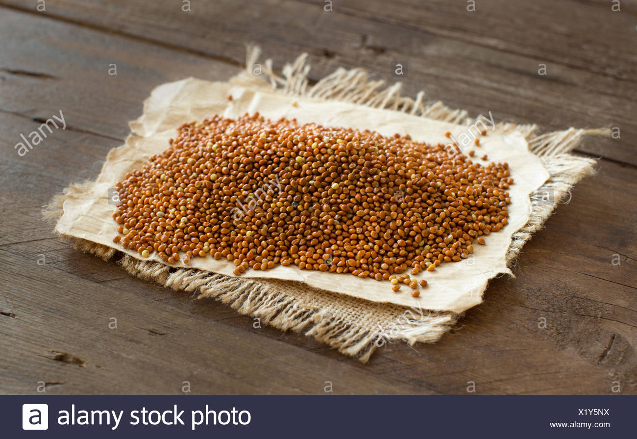 Brown Millet High Resolution Stock Photography and Images - Alamy