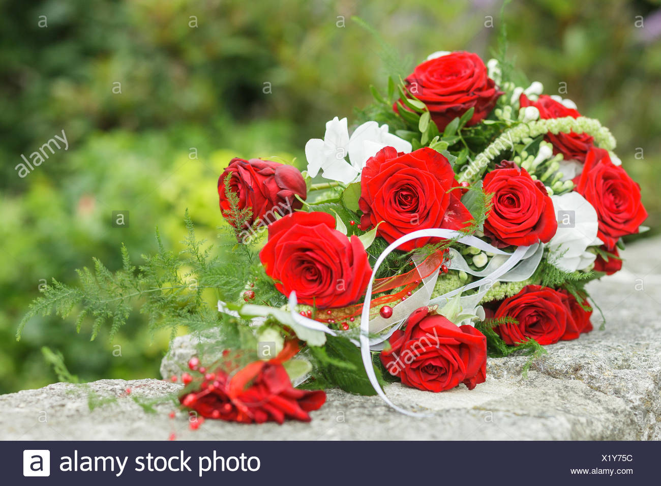 Strauss Rote Rosen High Resolution Stock Photography and Images - Alamy