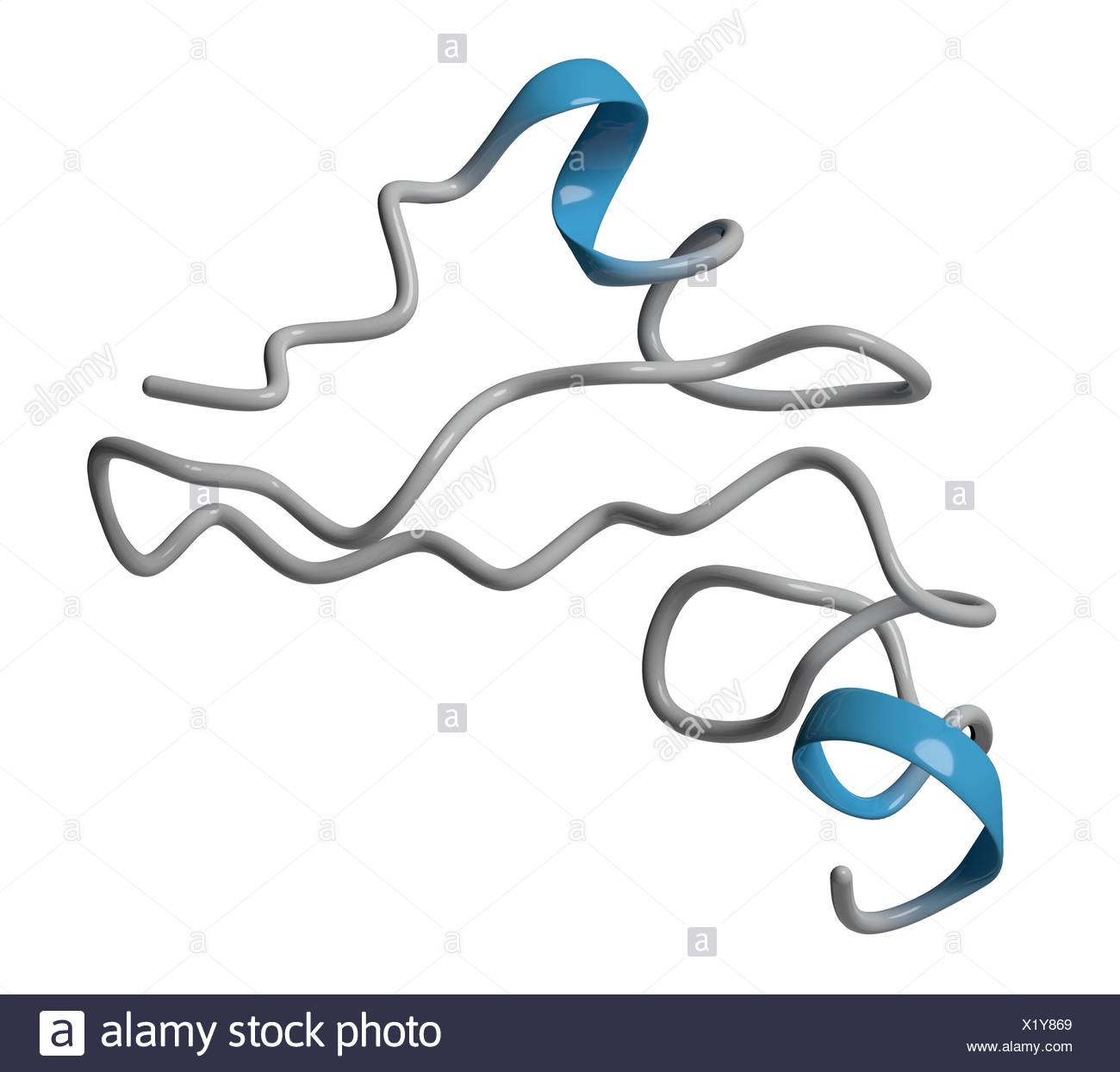 Epidermal Growth Factor High Resolution Stock Photography and Images ...