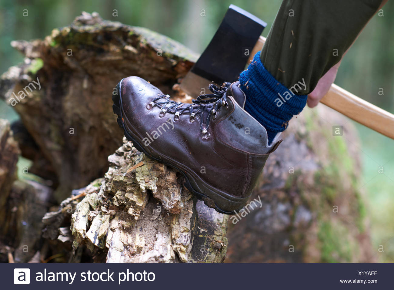 Leg Stump High Resolution Stock Photography and Images - Alamy